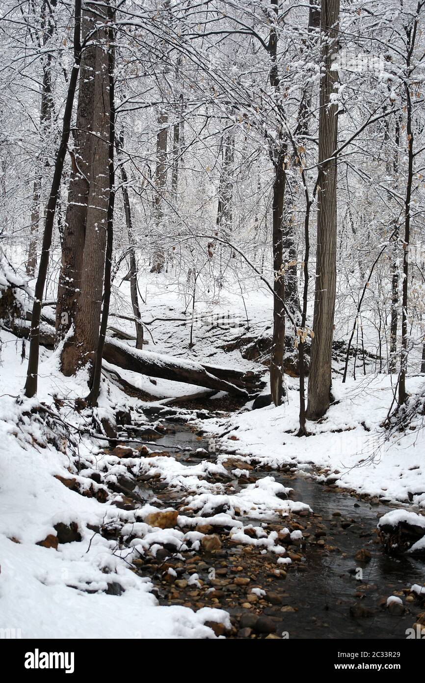 Winter in Washington DC Stock Photo - Alamy