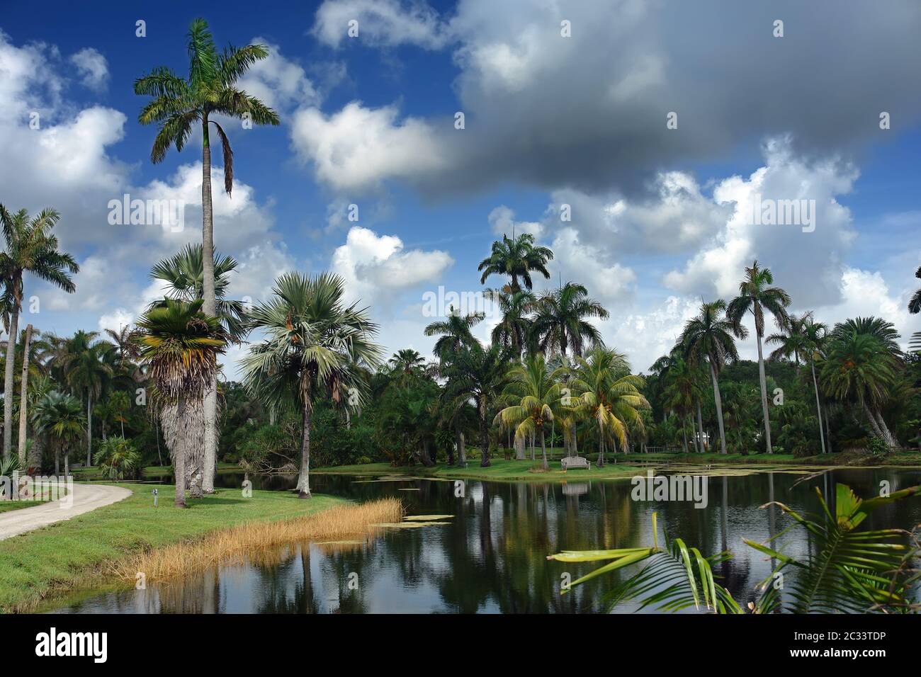 Tropical botanic garden Stock Photo - Alamy