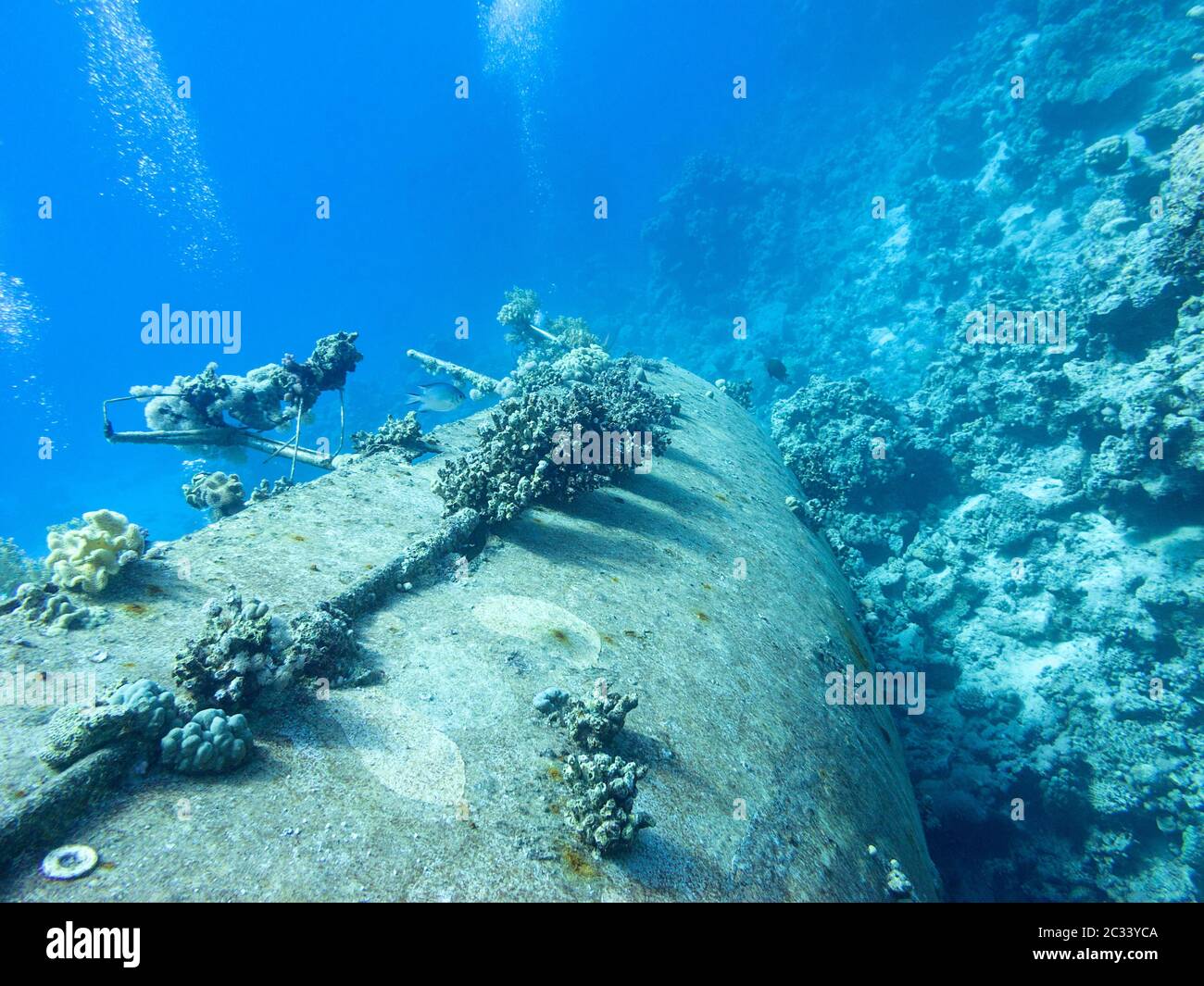 Wreck of old ship covered with coral reef at the bottom of tropical sea ...
