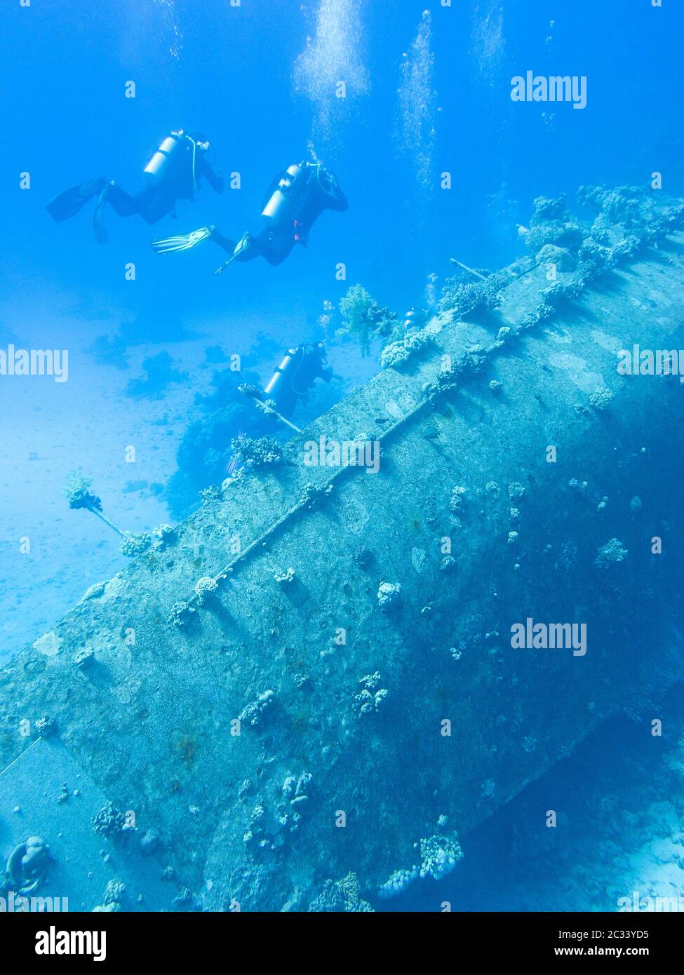 Group of divers above the wreck of old ship covered with coral reef at ...