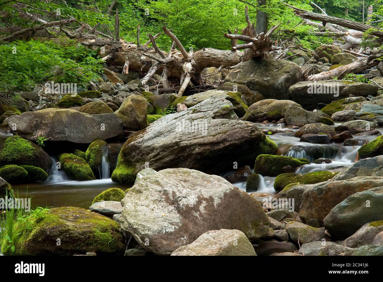 Waterfall moss shenandoah national park hi-res stock photography and ...