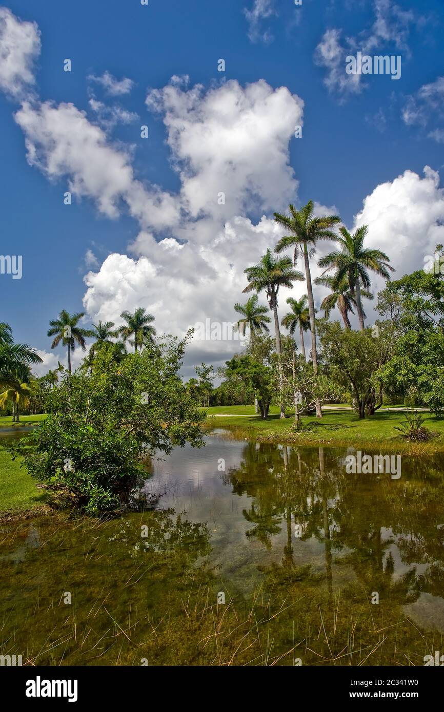 Tropical botanic garden Stock Photo - Alamy