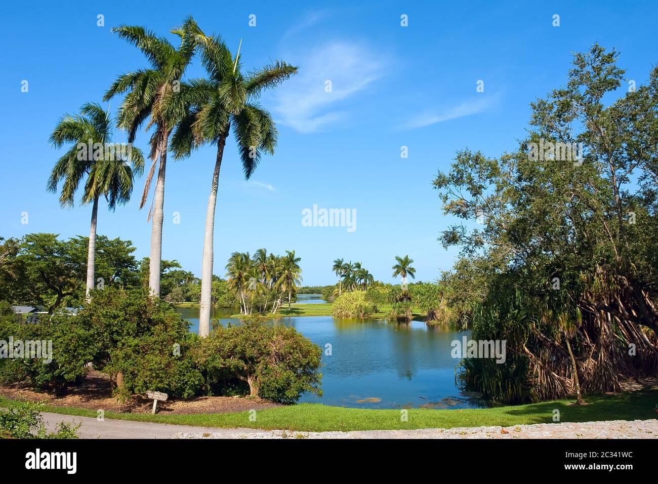 Tropical botanic garden Stock Photo - Alamy