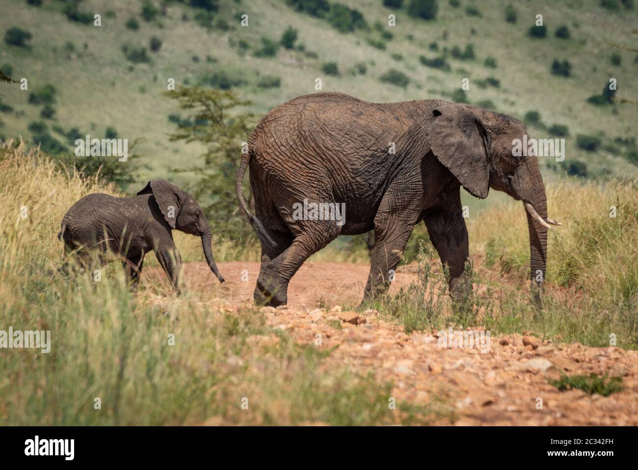 Rocky track hi-res stock photography and images - Alamy
