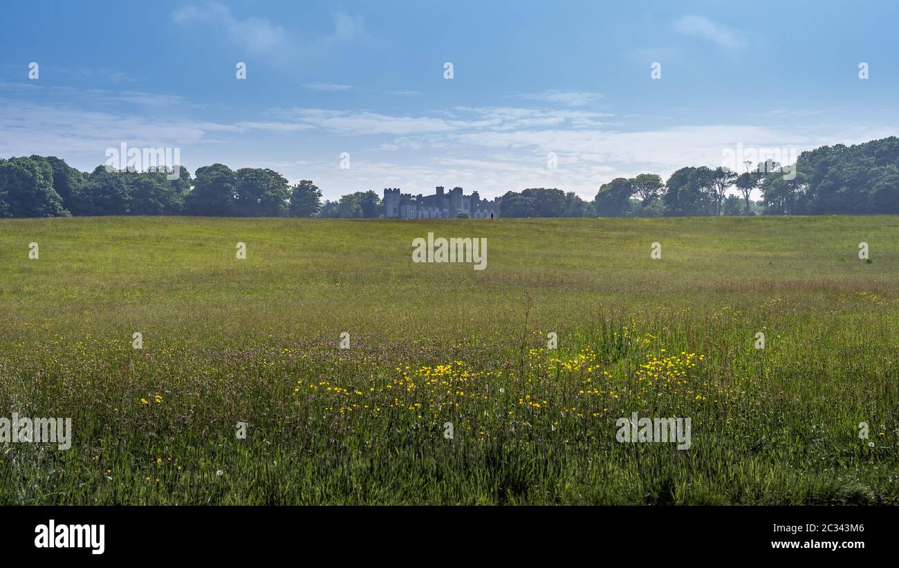 Balbriggan Castle High Resolution Stock Photography and Images - Alamy