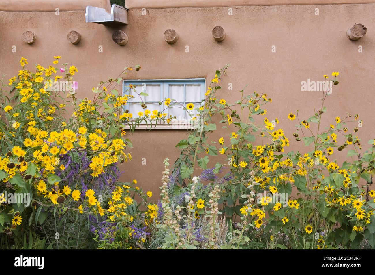 Ledoux Street Historic District,Taos,New Mexico,USA Stock Photo - Alamy