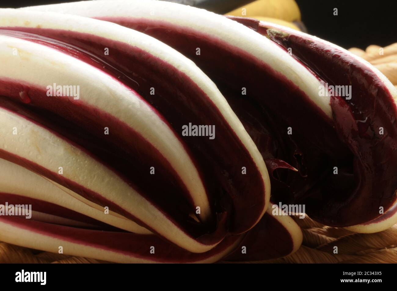 Fresh red treviso radicchio raw hi-res stock photography and images - Alamy