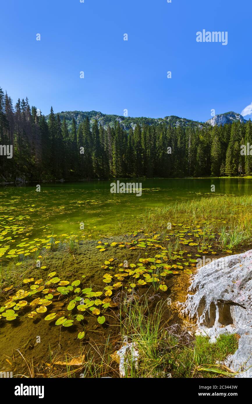Snake lake hi-res stock photography and images - Alamy