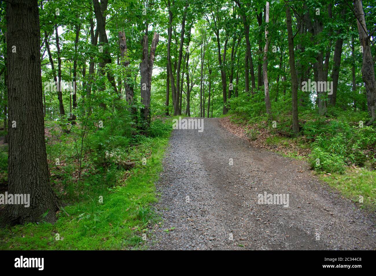 Nature trail at Cheesequake State Park in New Jersey, USA, on a sunny ...