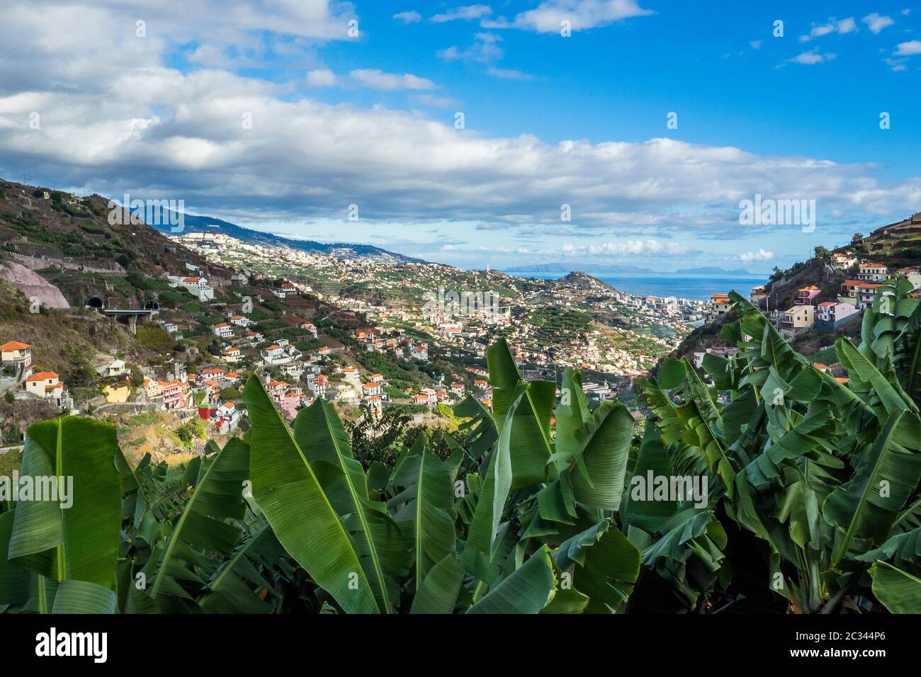 Ca mara hi-res stock photography and images - Alamy