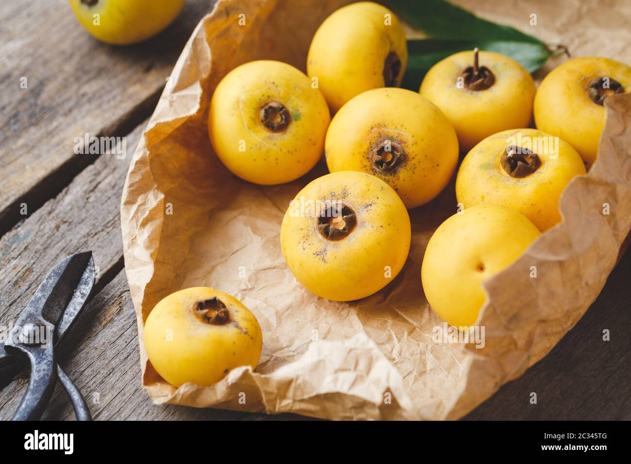 Diospyros decandra hi-res stock photography and images - Alamy