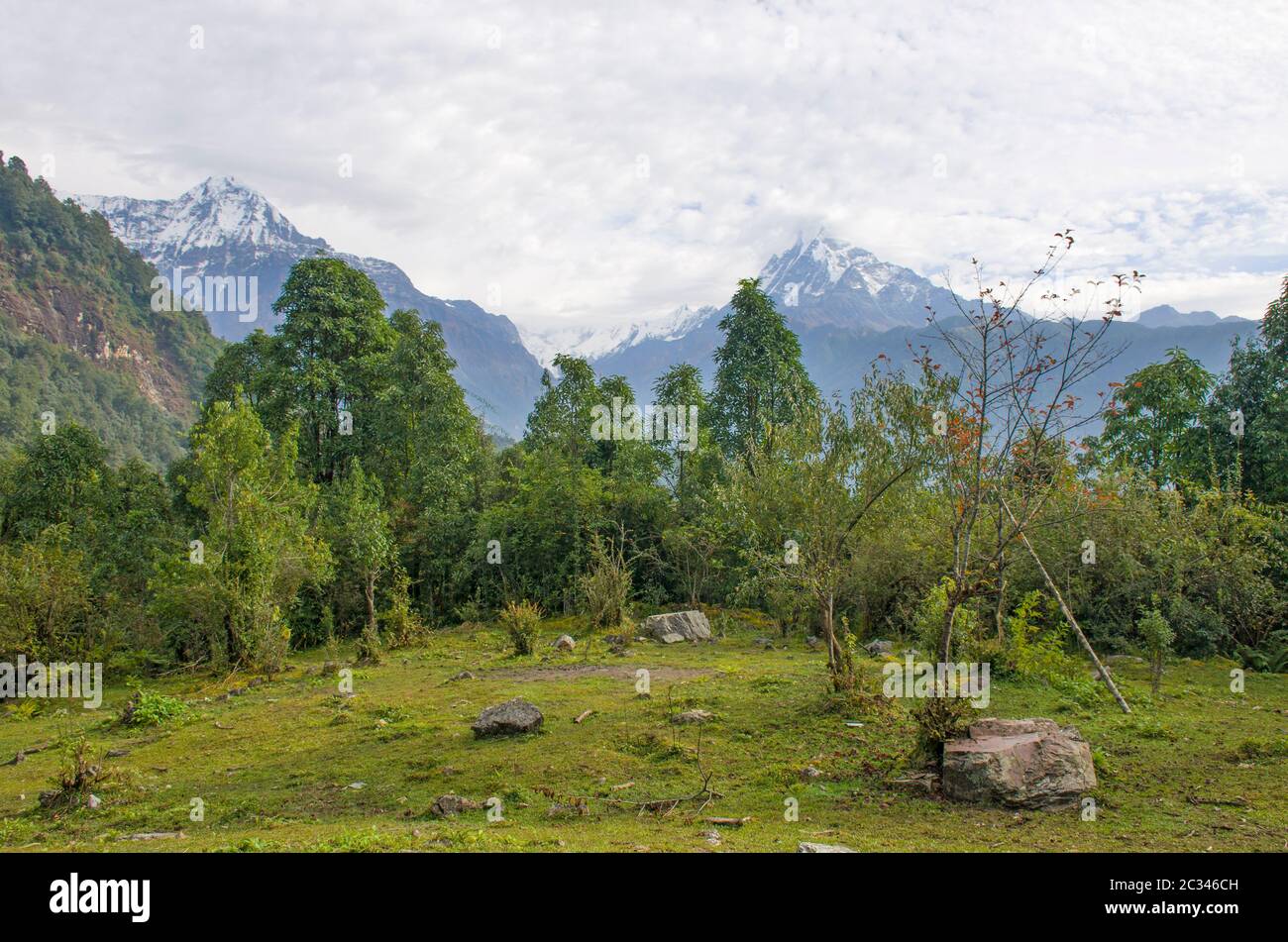 The peaks of the mountains of Nepal among the trees are the landscape ...