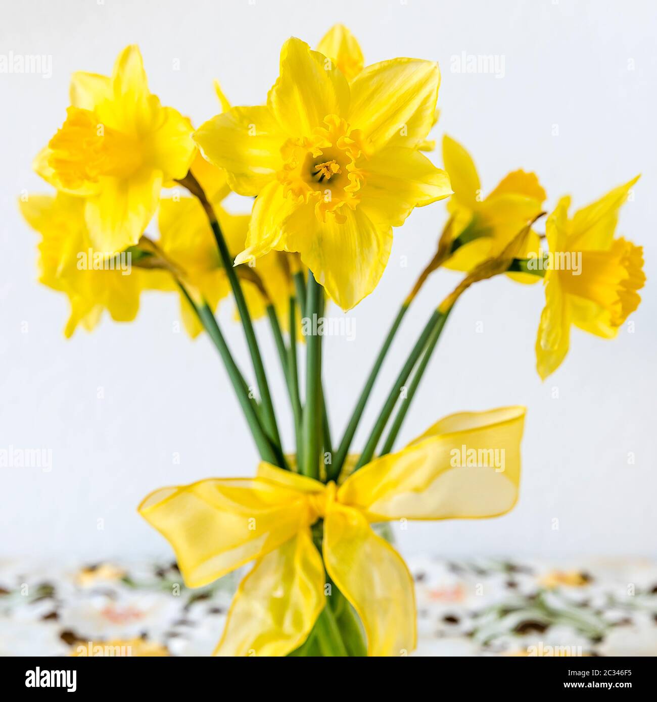 Spring messenger daffodils hi-res stock photography and images - Alamy