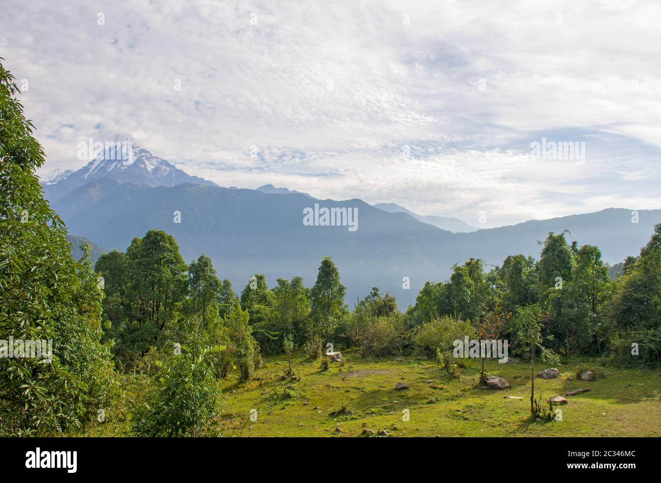 The peaks of the mountains of Nepal among the trees are the landscape ...