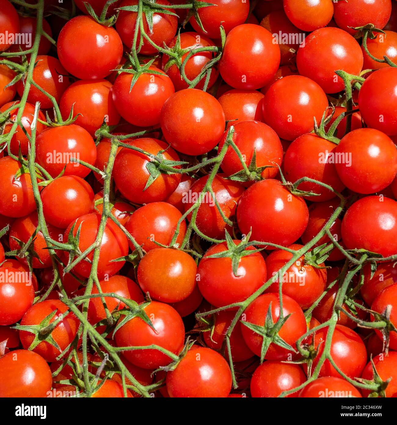 Group of cherry tomatoes hi-res stock photography and images - Alamy