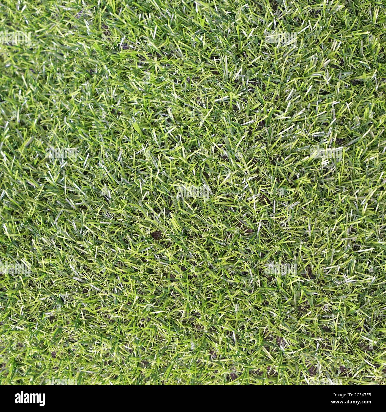 Artificial plastic green grass carpet flooring Stock Photo - Alamy