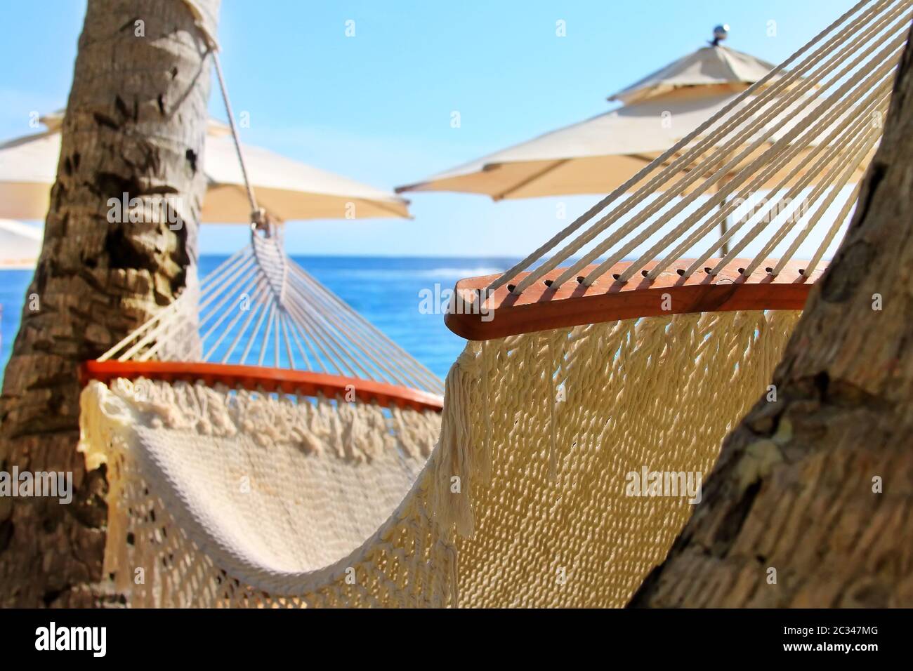 Hammock between two palm trees hi-res stock photography and images - Alamy