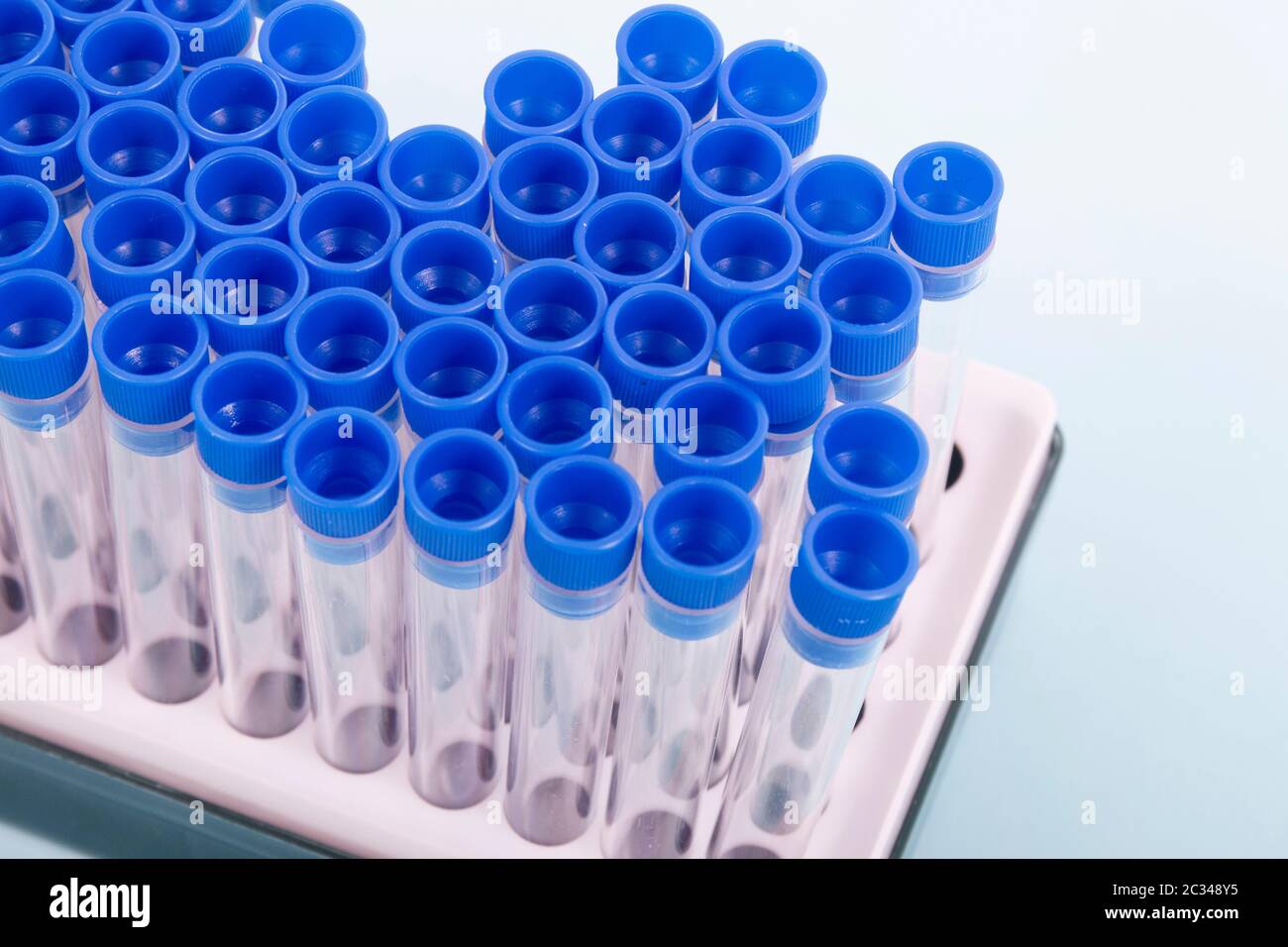 Vial rack filled with testing tubes isolated on blue background Stock ...