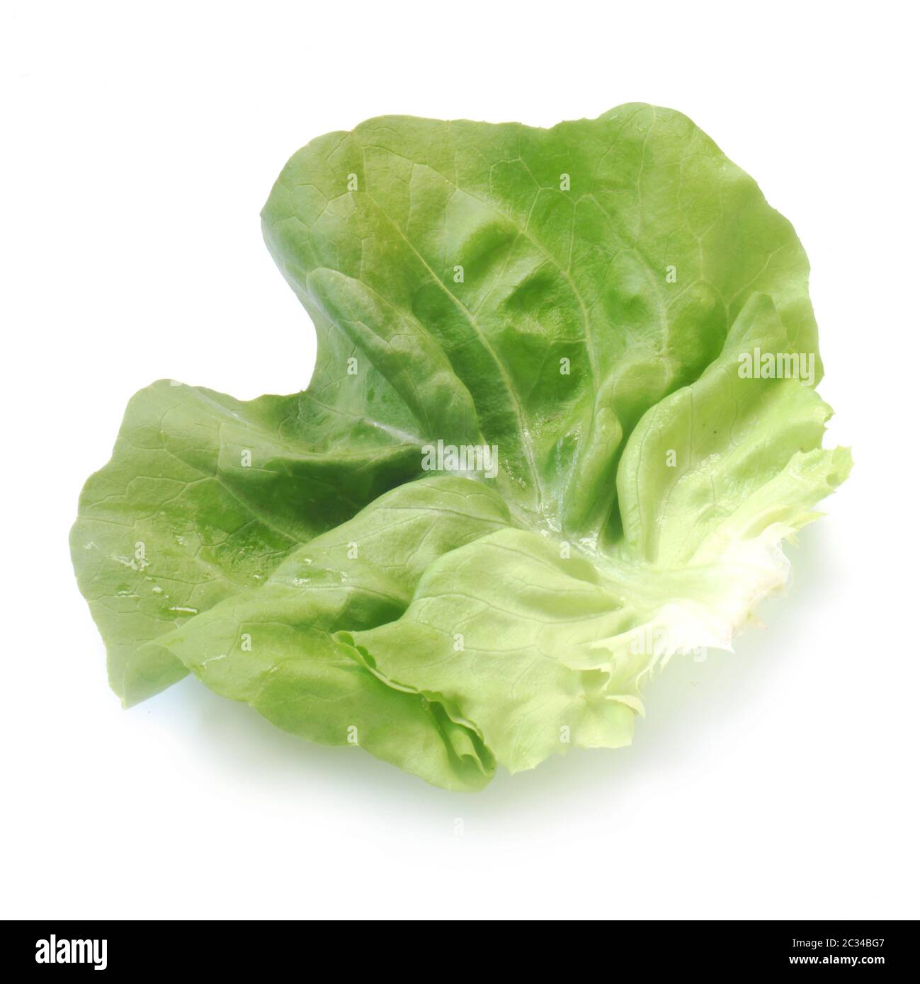 Lettuce Leaf Isolated On White Stock Photo - Alamy
