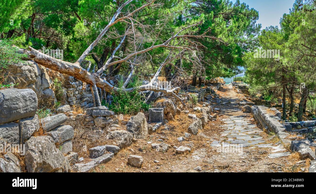 Ruins of the Ancient greek city of Priene in Turkey on a sunny summer ...