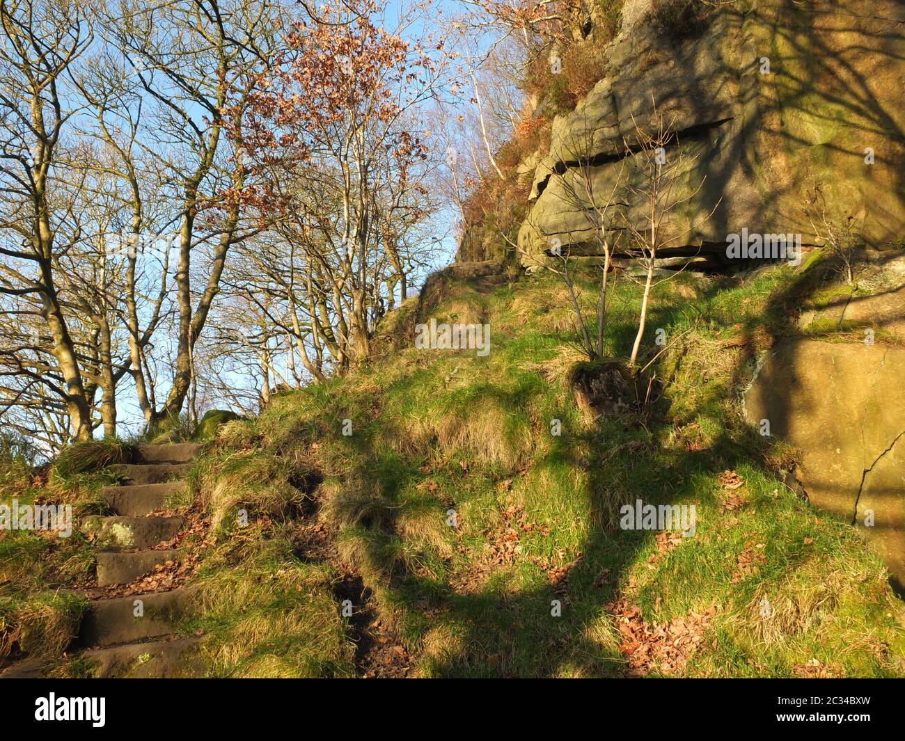 a narrow hillside path in a bright sunlit winter forest surrounded by ...