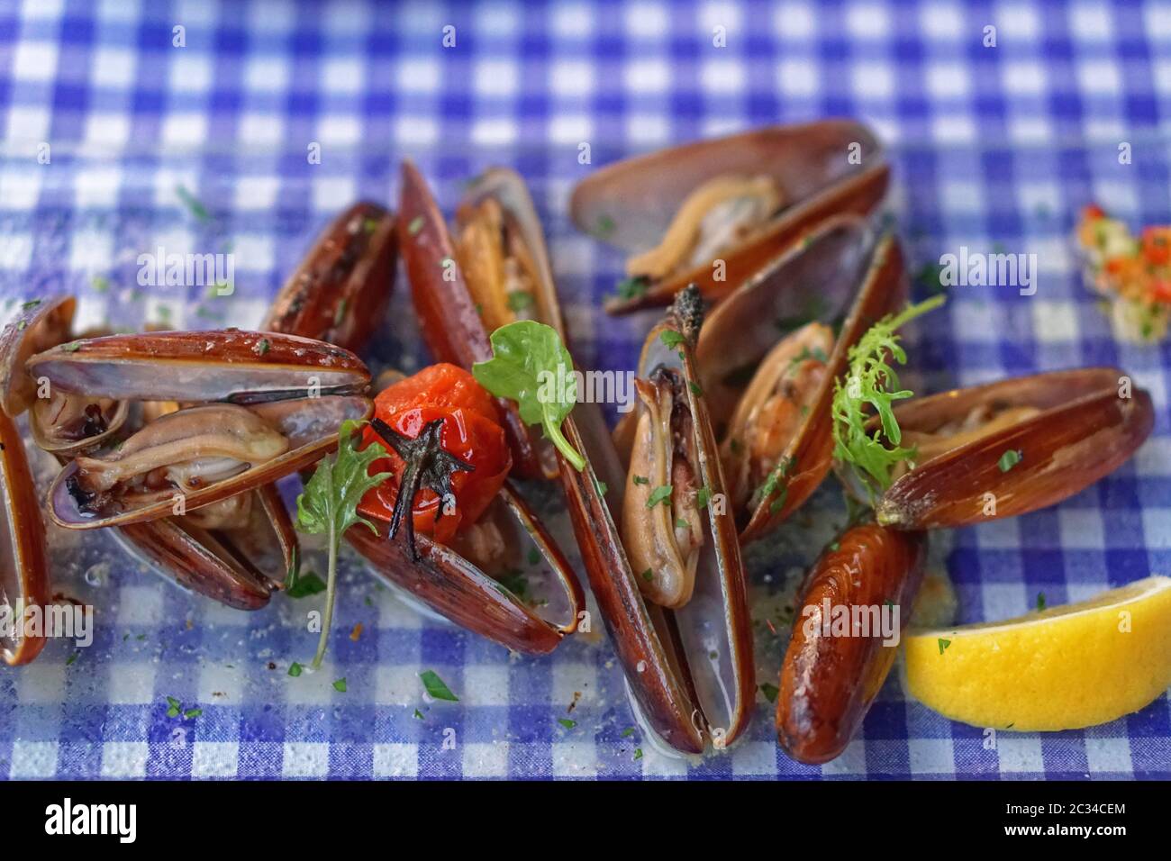 Date shells hi-res stock photography and images - Alamy