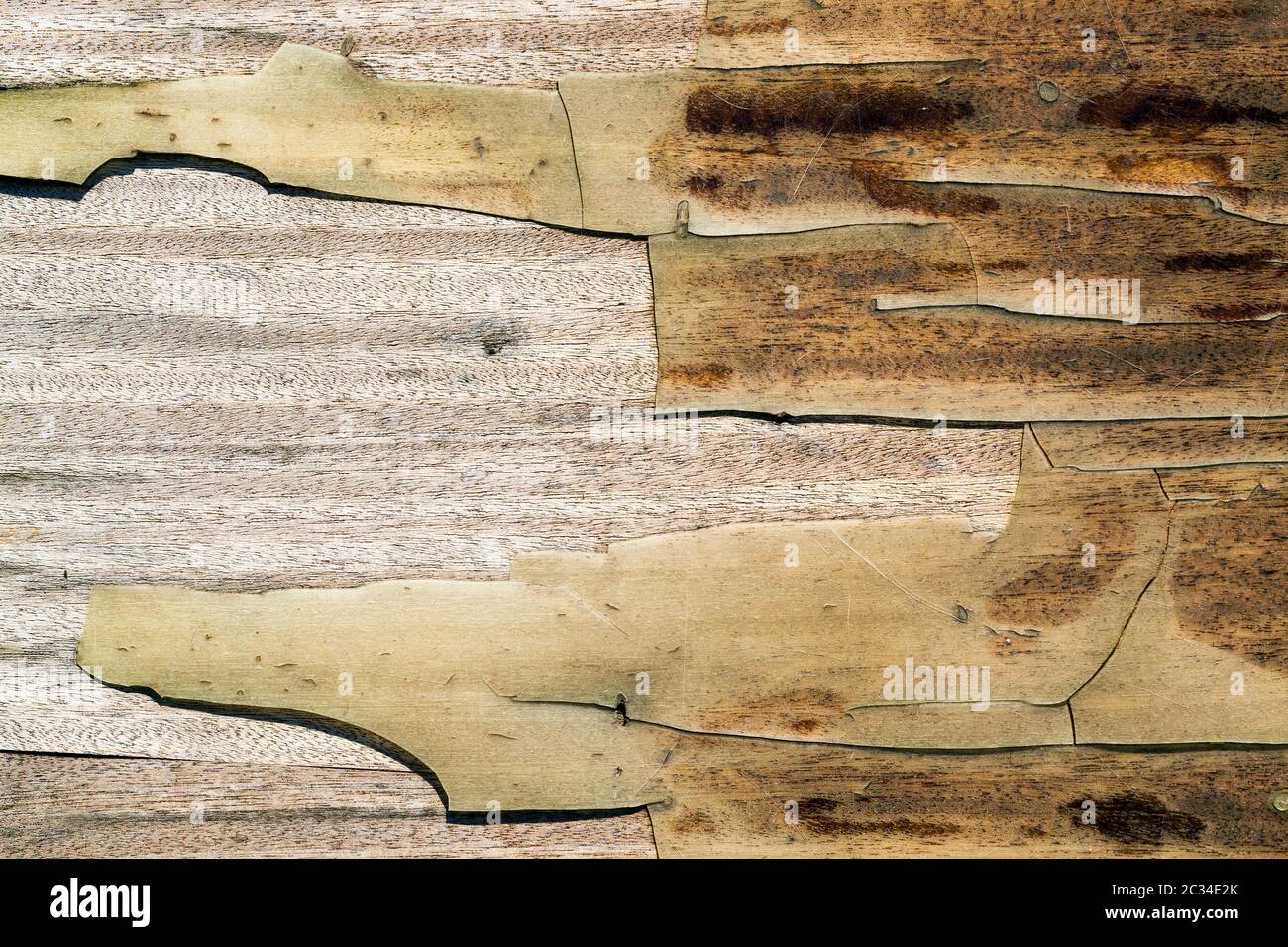 abstract wooden surface, details and structure of wood of different ...