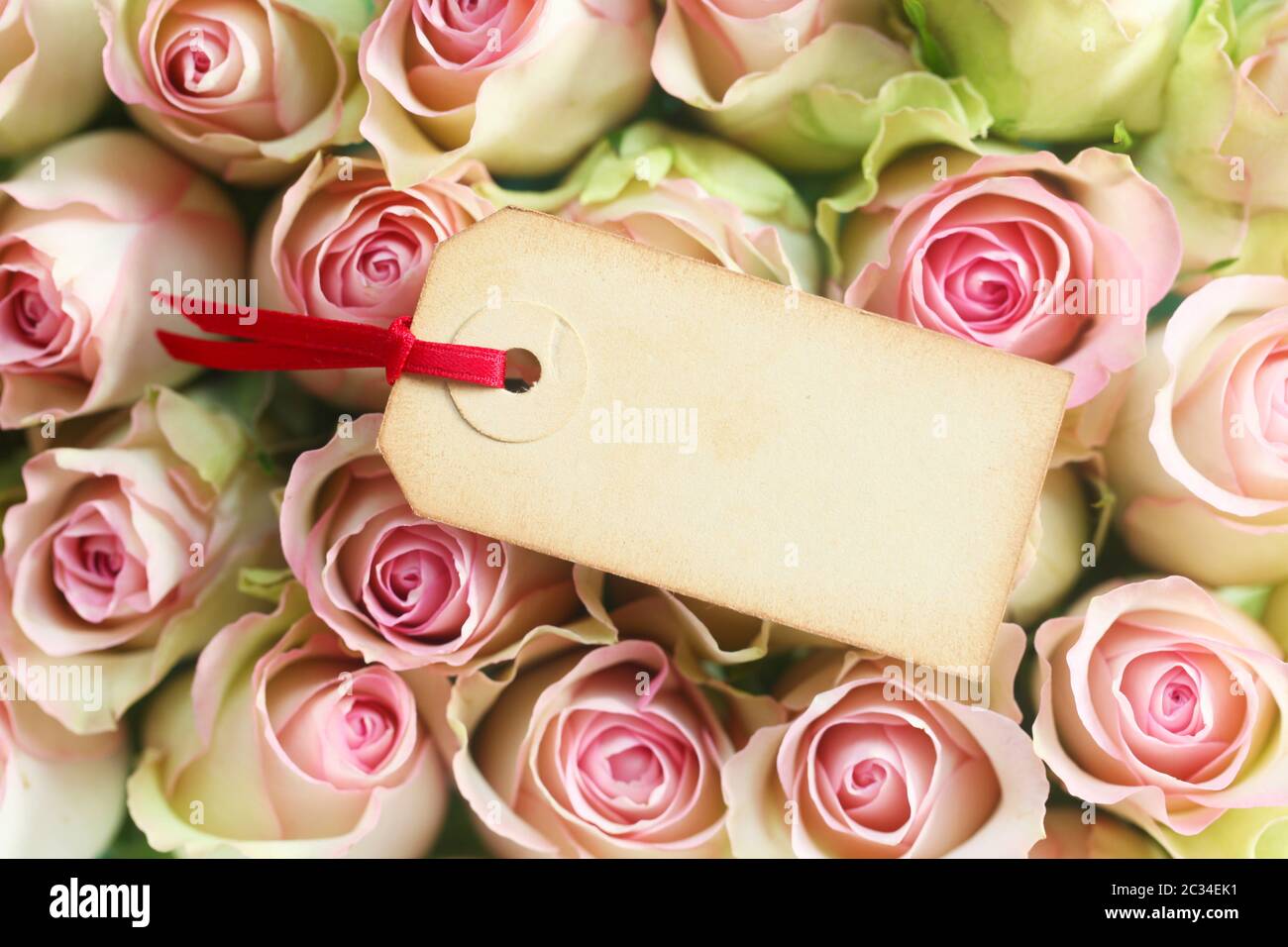 Blank Paper Label On Pink Roses Stock Photo - Alamy