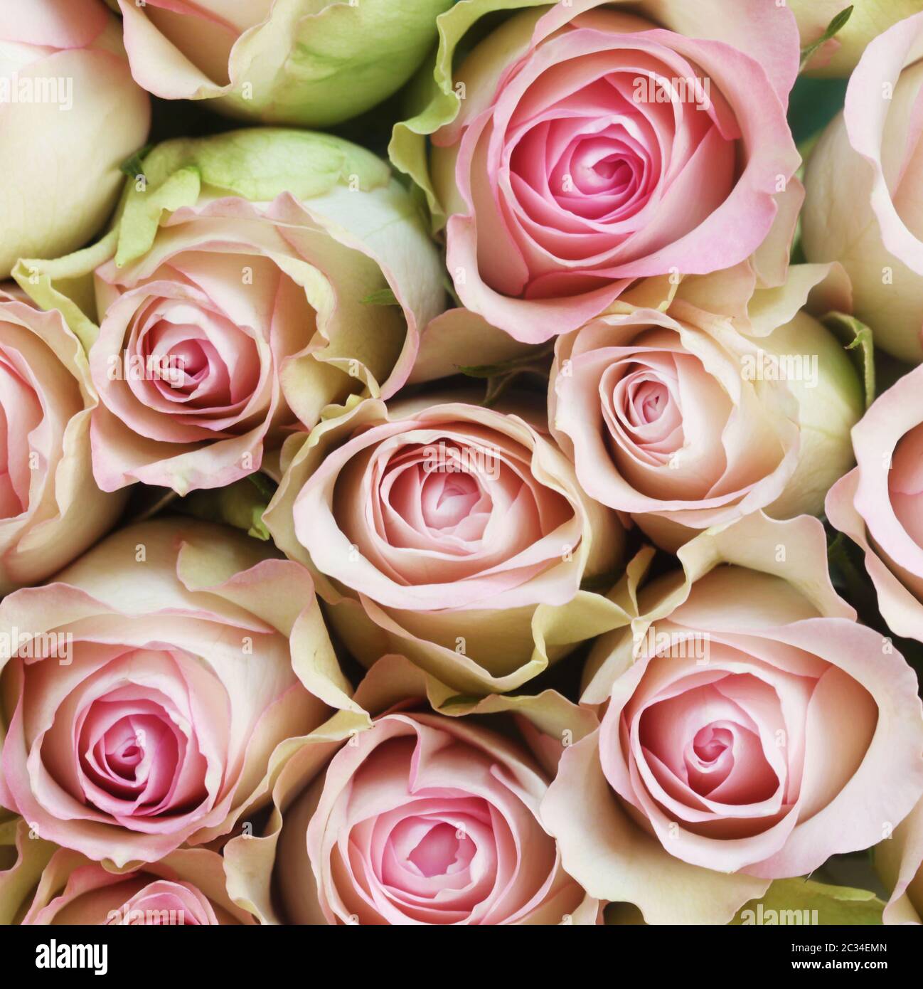 Full format hi-res stock photography and images - Alamy