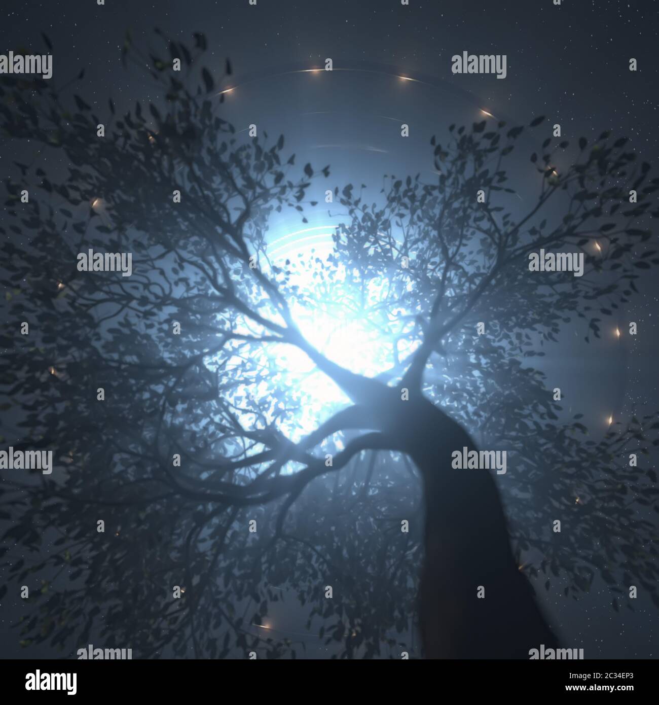 Unidentified flying object - UFO, flying over the trees. Concept of ...