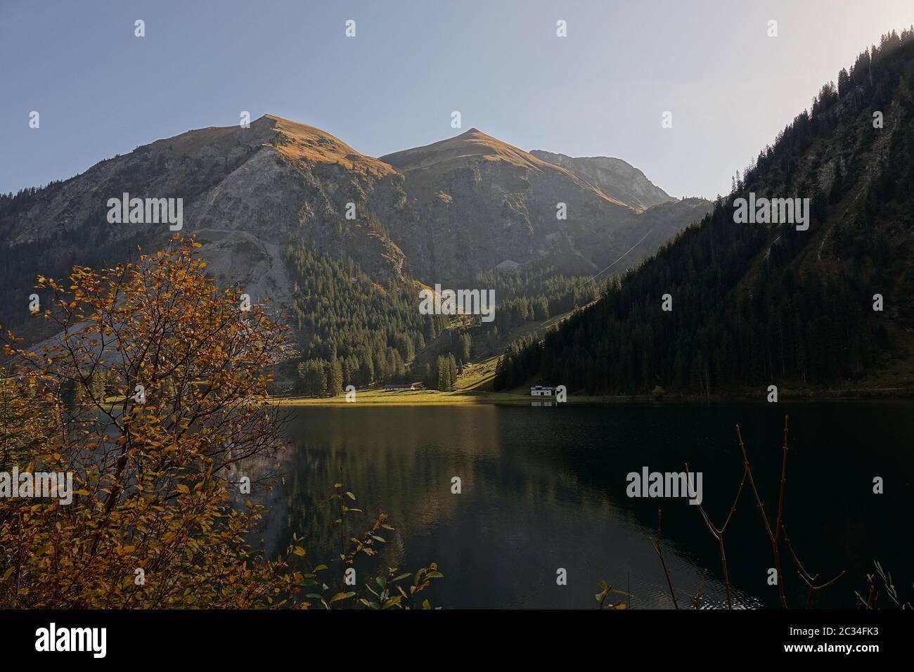 on the lakeside in the Tyrolean mountains in Austria Stock Photo - Alamy