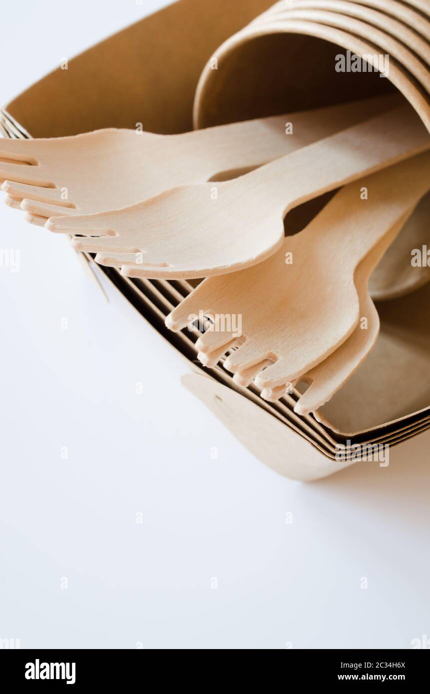 Eco-friendly biodegradable cardboard or paper dishes on white ...