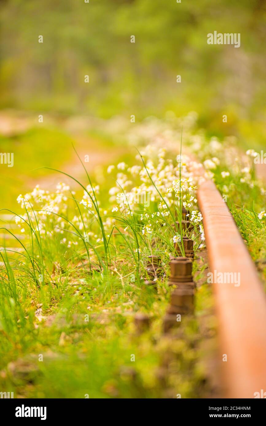 Rails out order flowers hi-res stock photography and images - Alamy