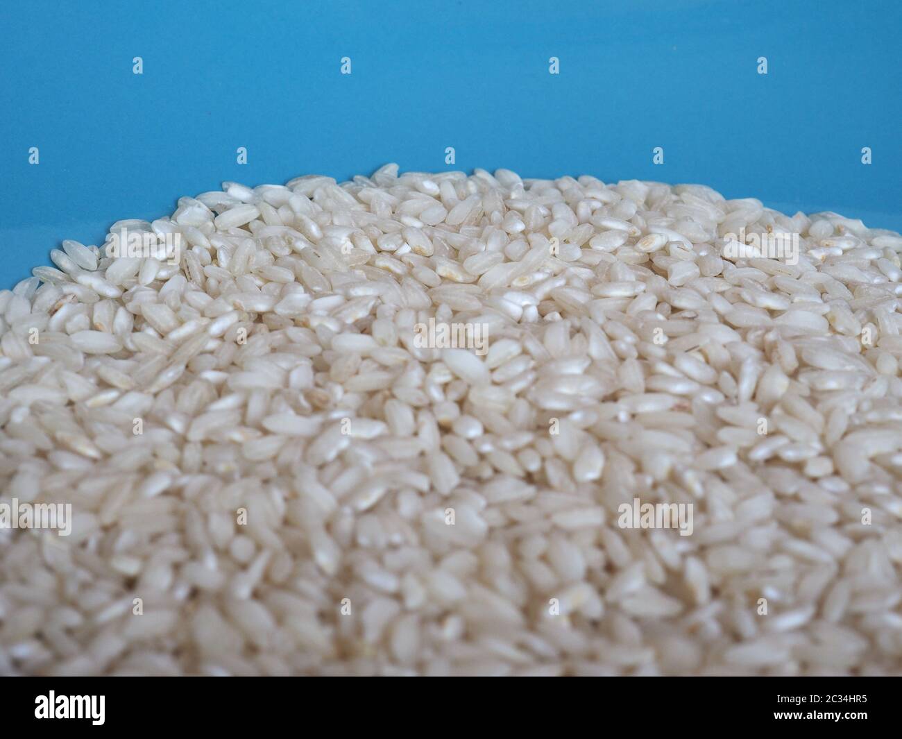 carnaroli rice, medium grained rice grown in the Pavia, Novara and ...