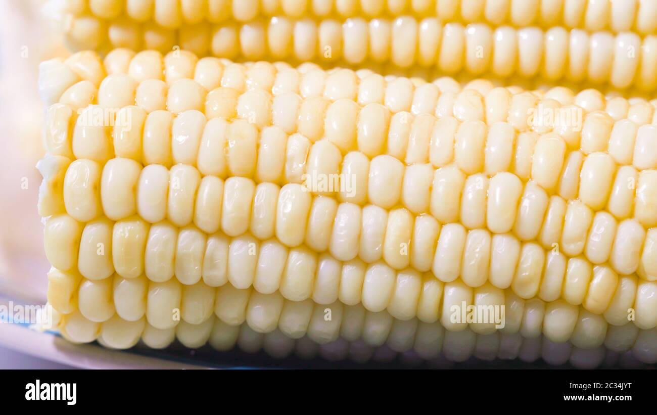 White corn. Boiled sweet white corn on the cob close up on white ...