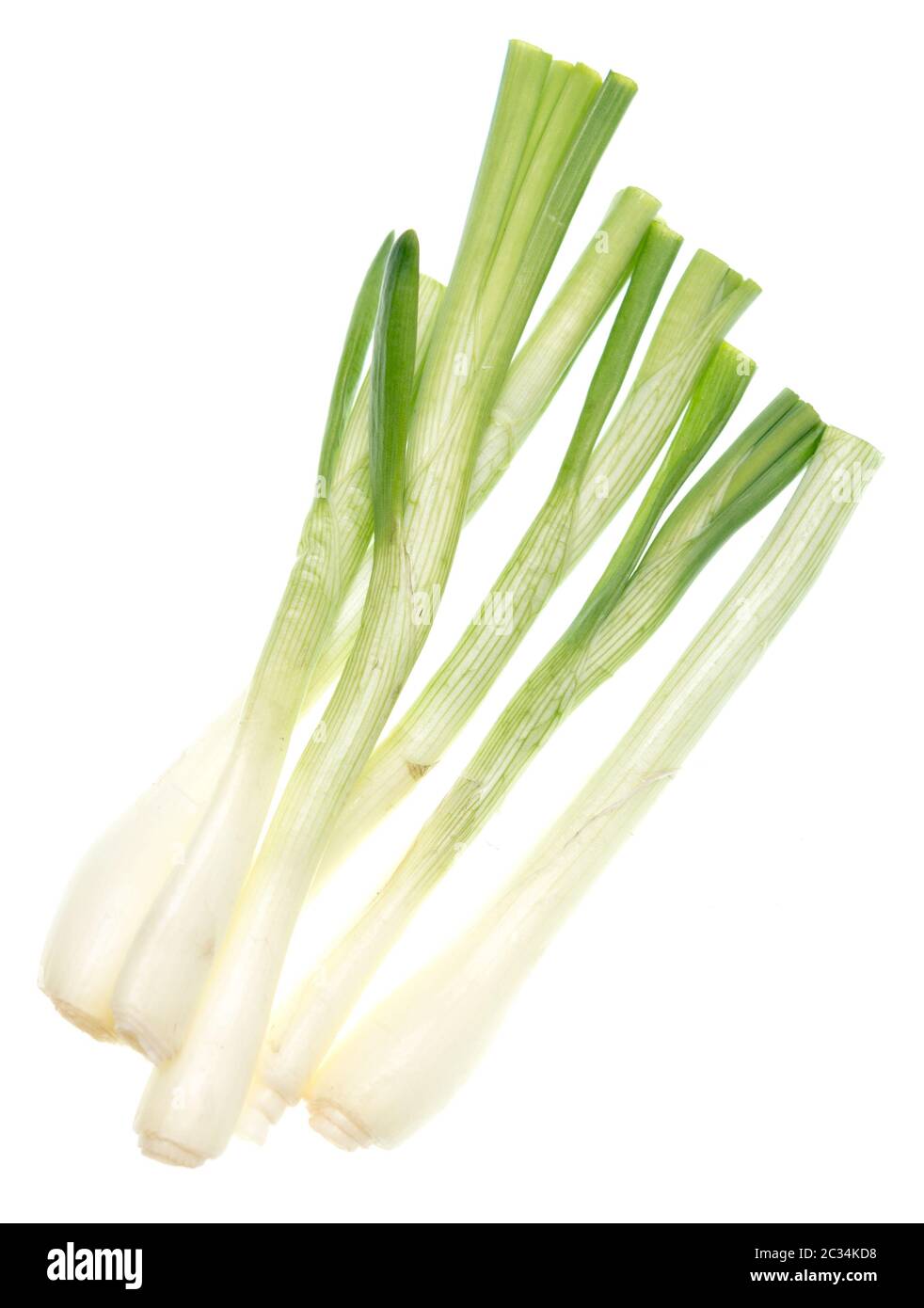 Green onion isolated on white background Stock Photo - Alamy