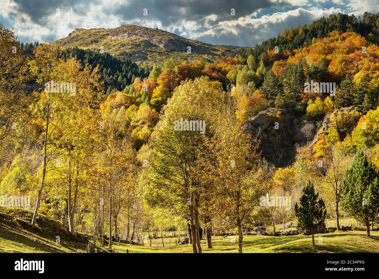 color of autumn at the mountain (french Pyrenees Stock Photo - Alamy