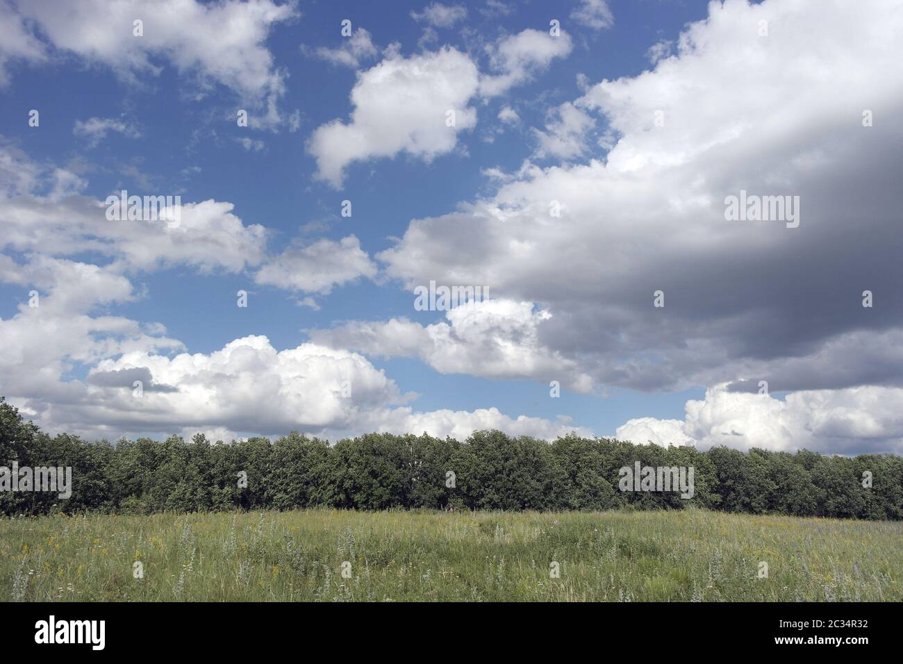 Beautiful summer landscape Stock Photo - Alamy