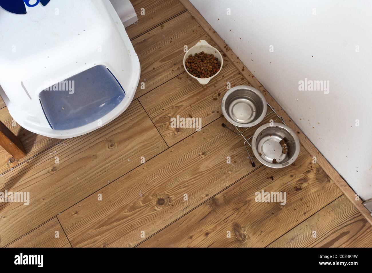pet food in a food bowl for the cat with litter box in a house, dirty ...