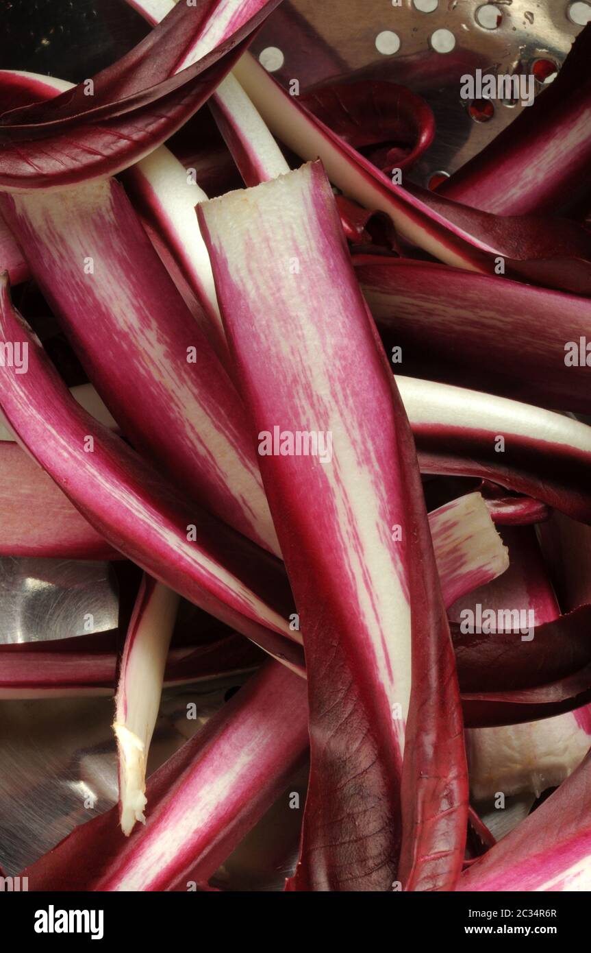Treviso salad vegetables hi-res stock photography and images - Alamy