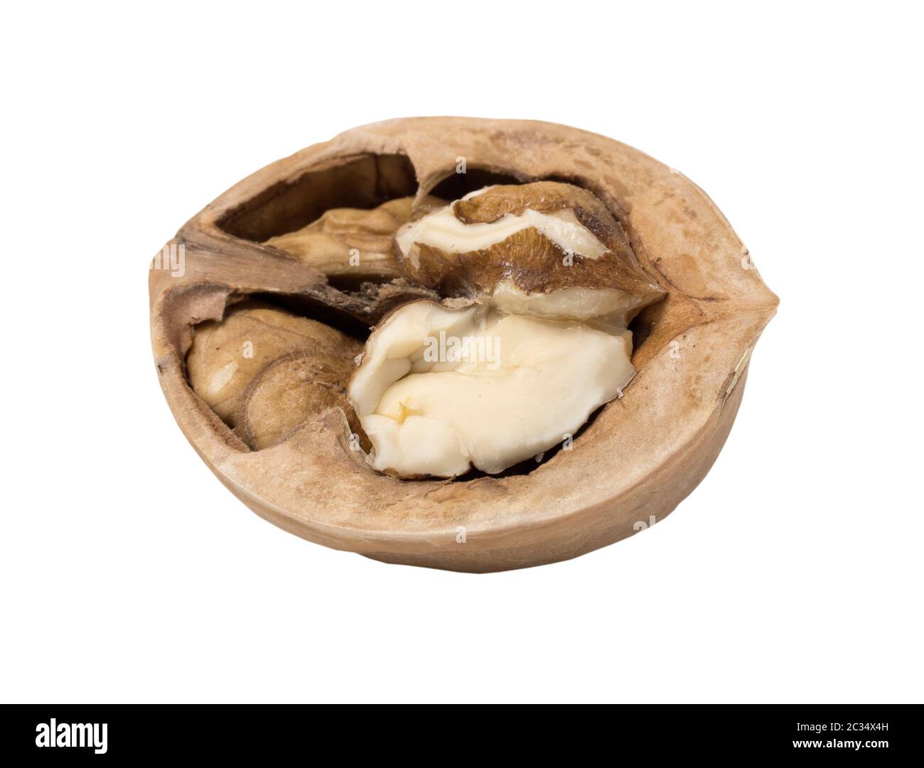 Walnut isolated. Nut kernel on white background. Close up view Stock ...