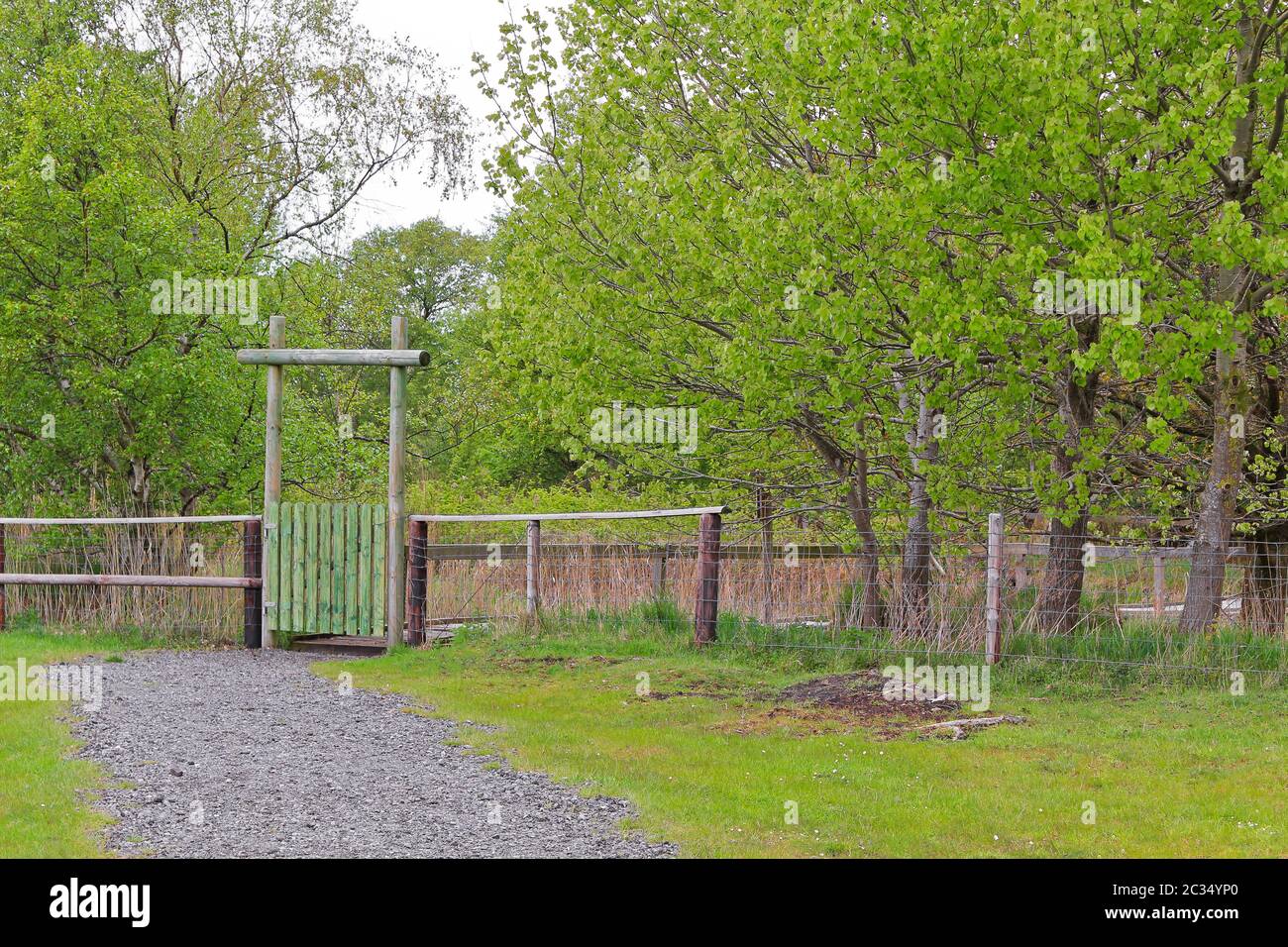 Path and gate on the fence in a typical north German landscape in Lower ...