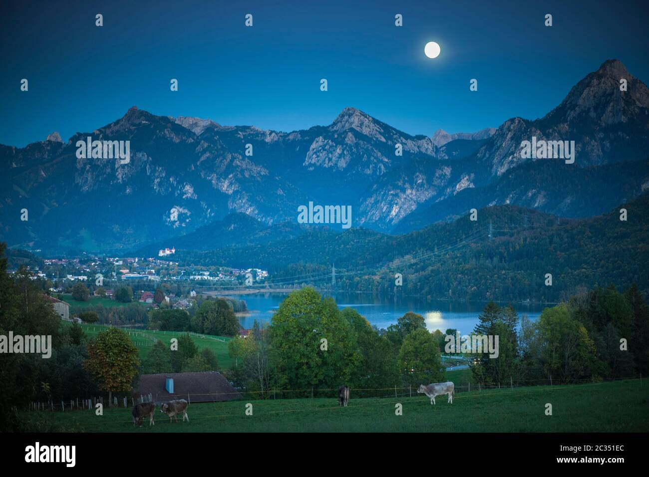 Nocturnal landscape view at full moon over green meadows on the ...