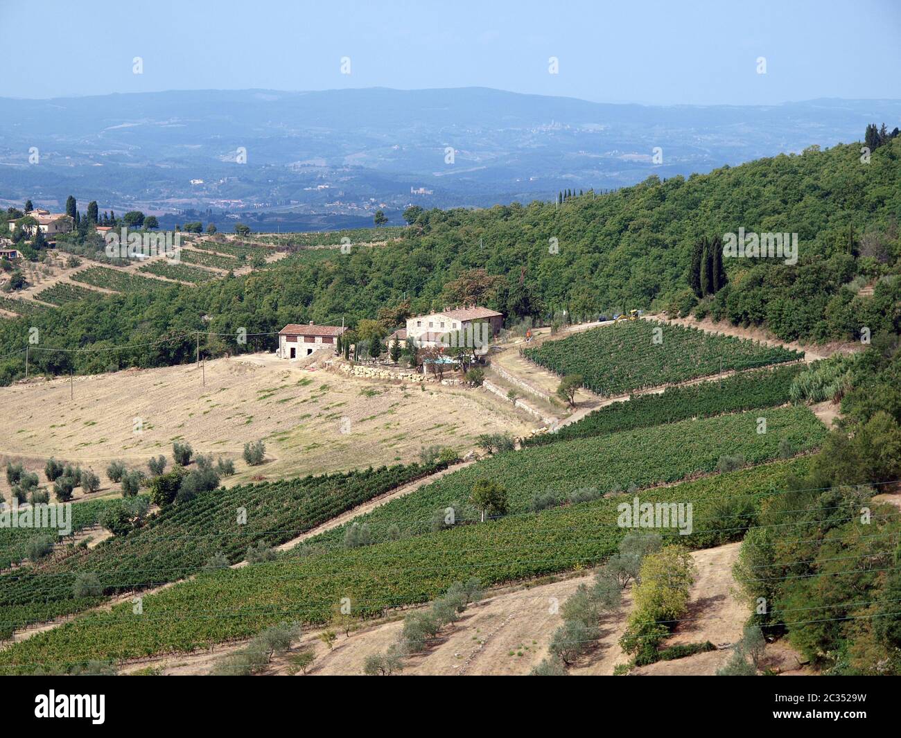 Vineyards and olive fields in Chianti, Tuscany Stock Photo - Alamy