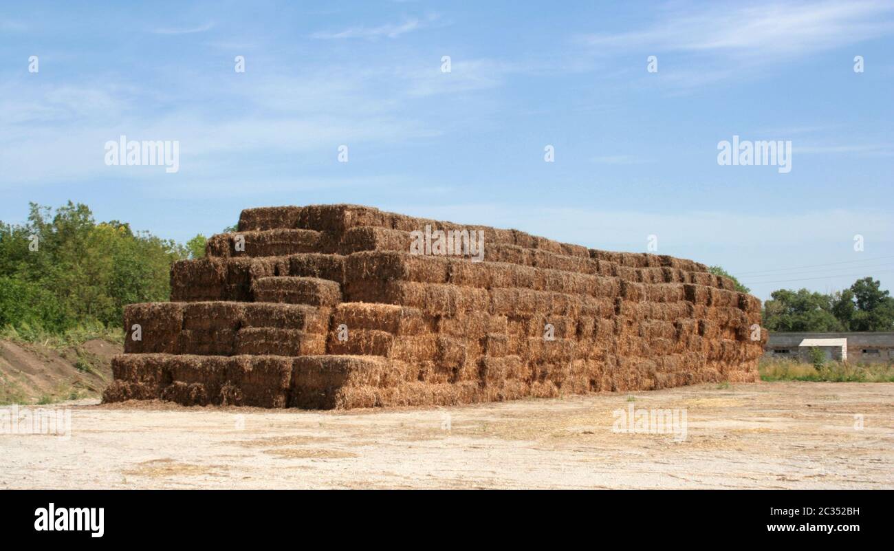 pyramid of hay with the blue cloudy sky Stock Photo - Alamy