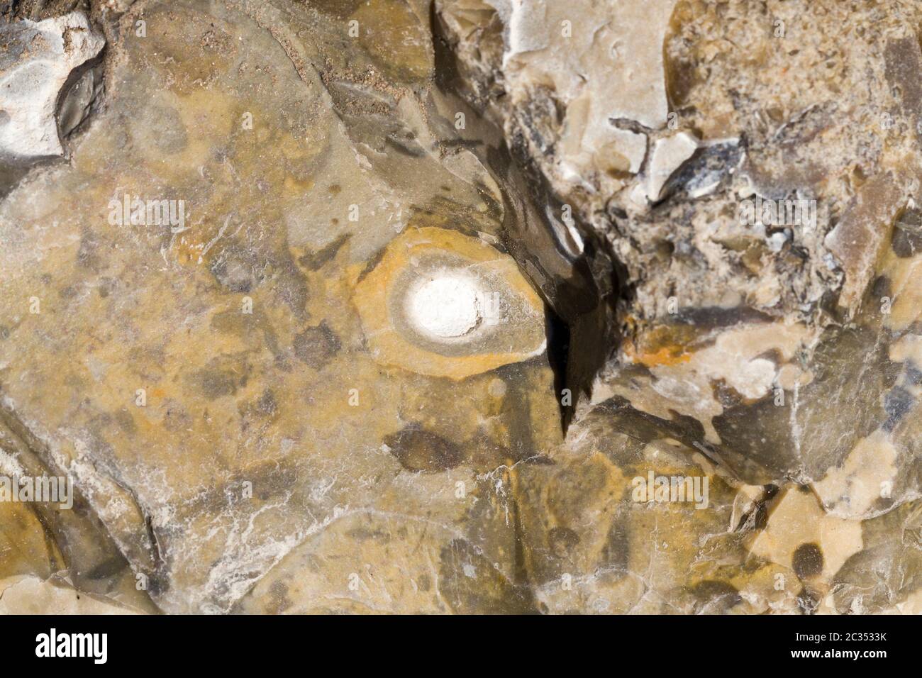 ordinary stone having its structure, which is different from other ...