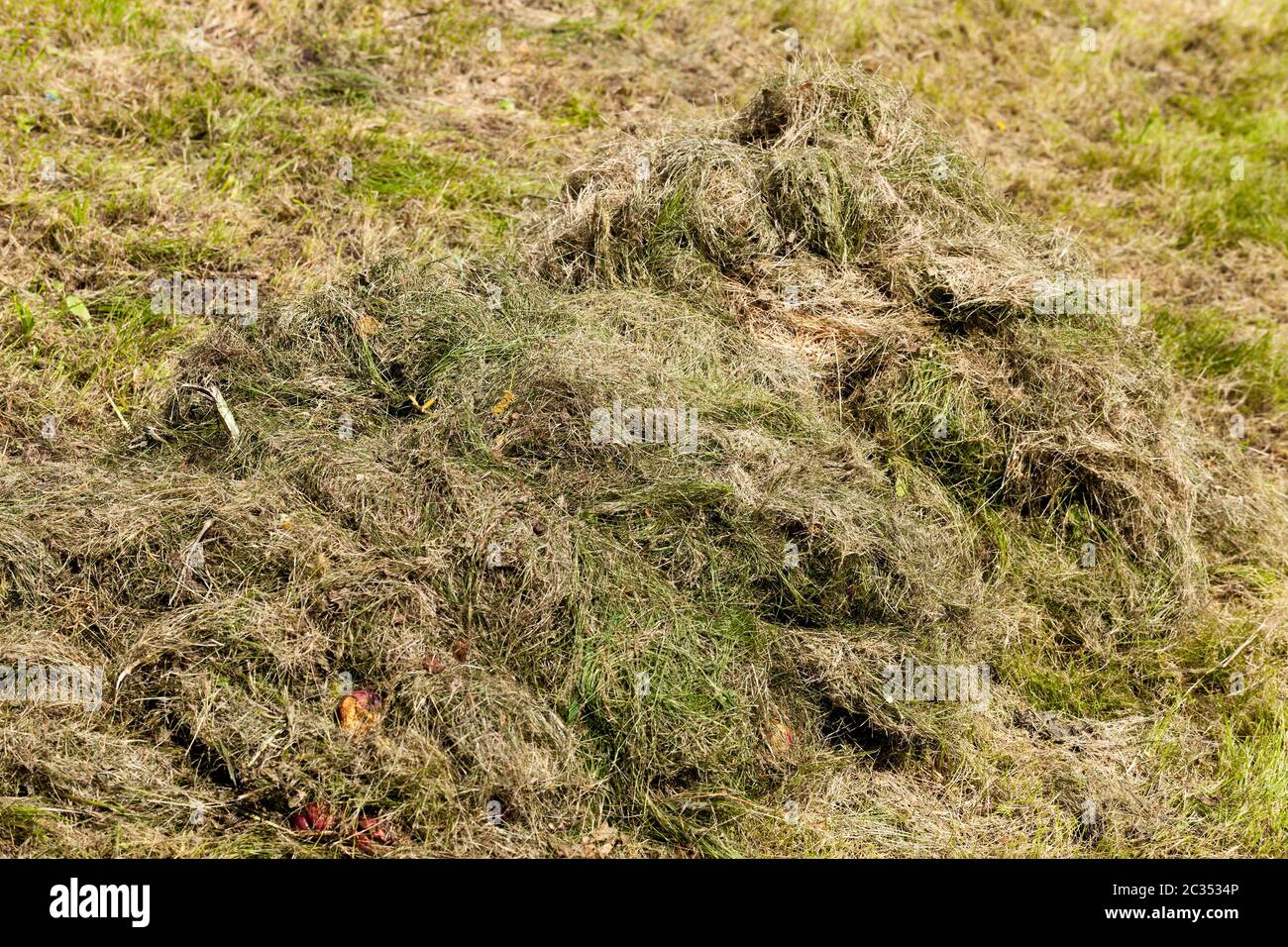 the field on which the grass grows, the activity of obtaining food for ...