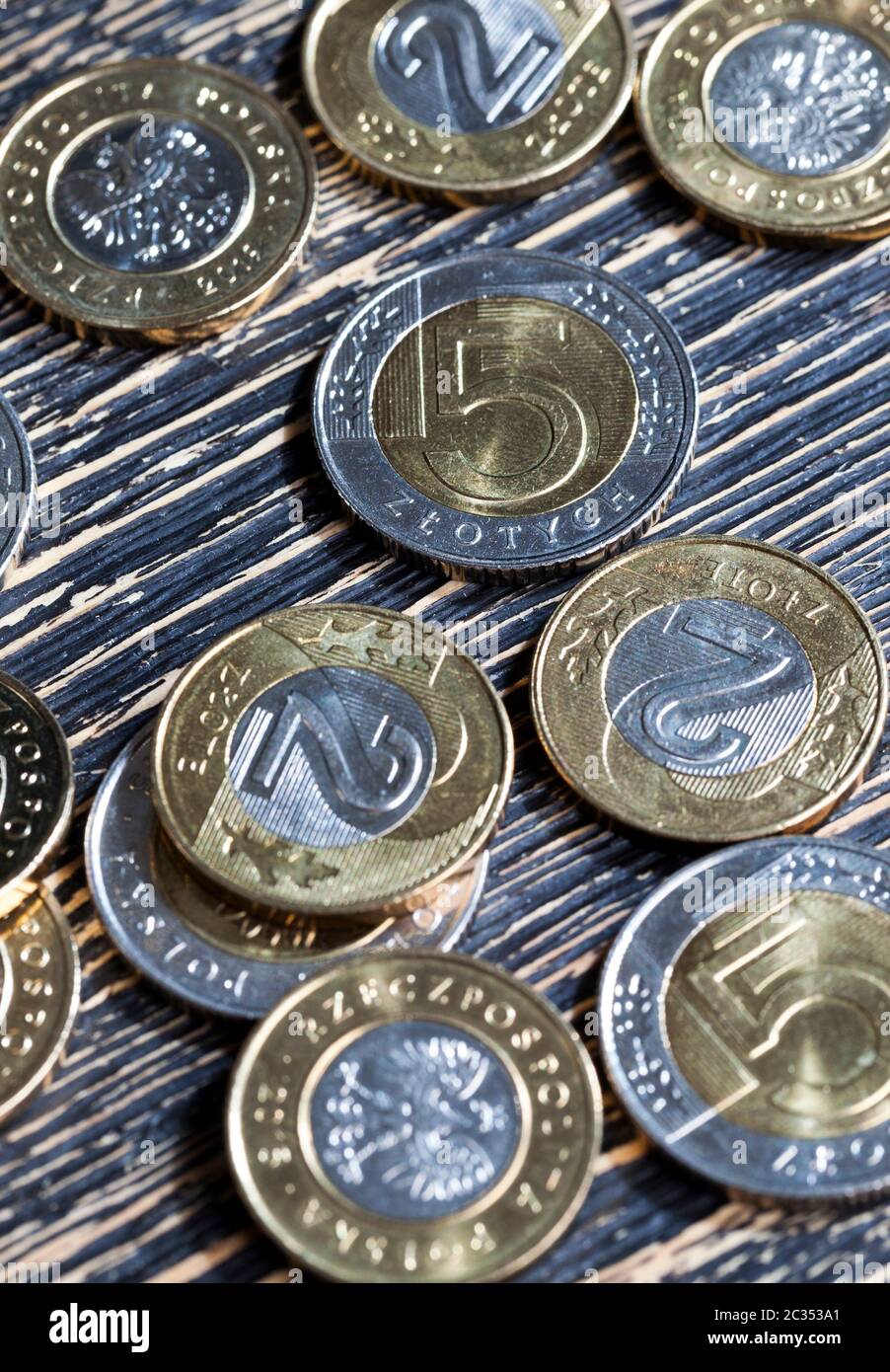 different Polish money in cash in the form of banknotes and coins ...