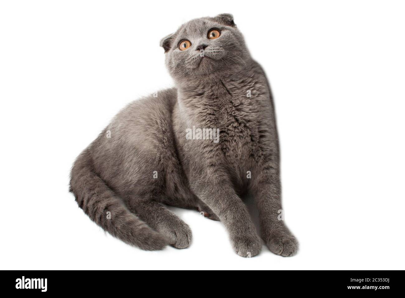 Front view old british Cut Out Stock Images & Pictures - Alamy