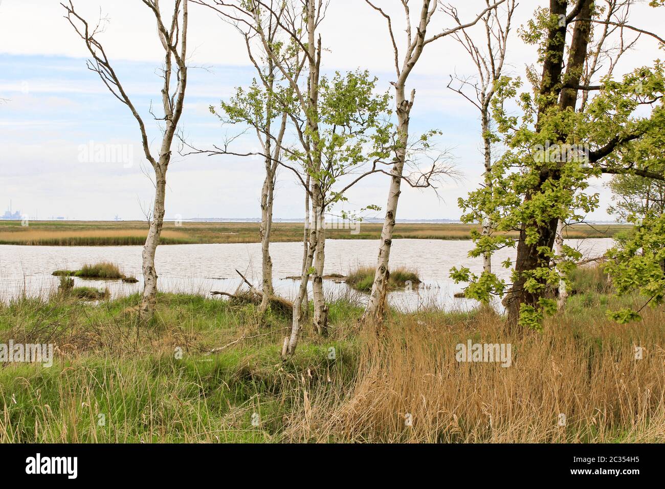 Sehestedter aussendeichsmoor hi-res stock photography and images - Alamy